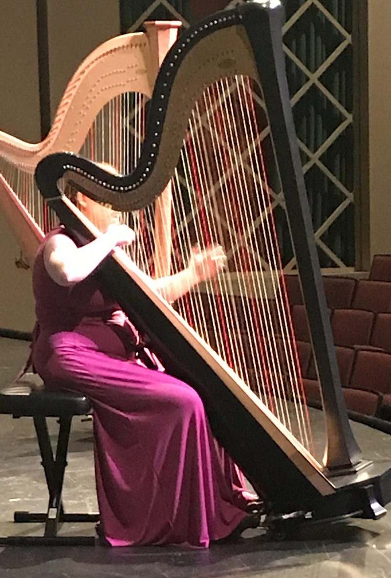 Announcing the Siochi Scholarship - Young Artist's Harp Seminar